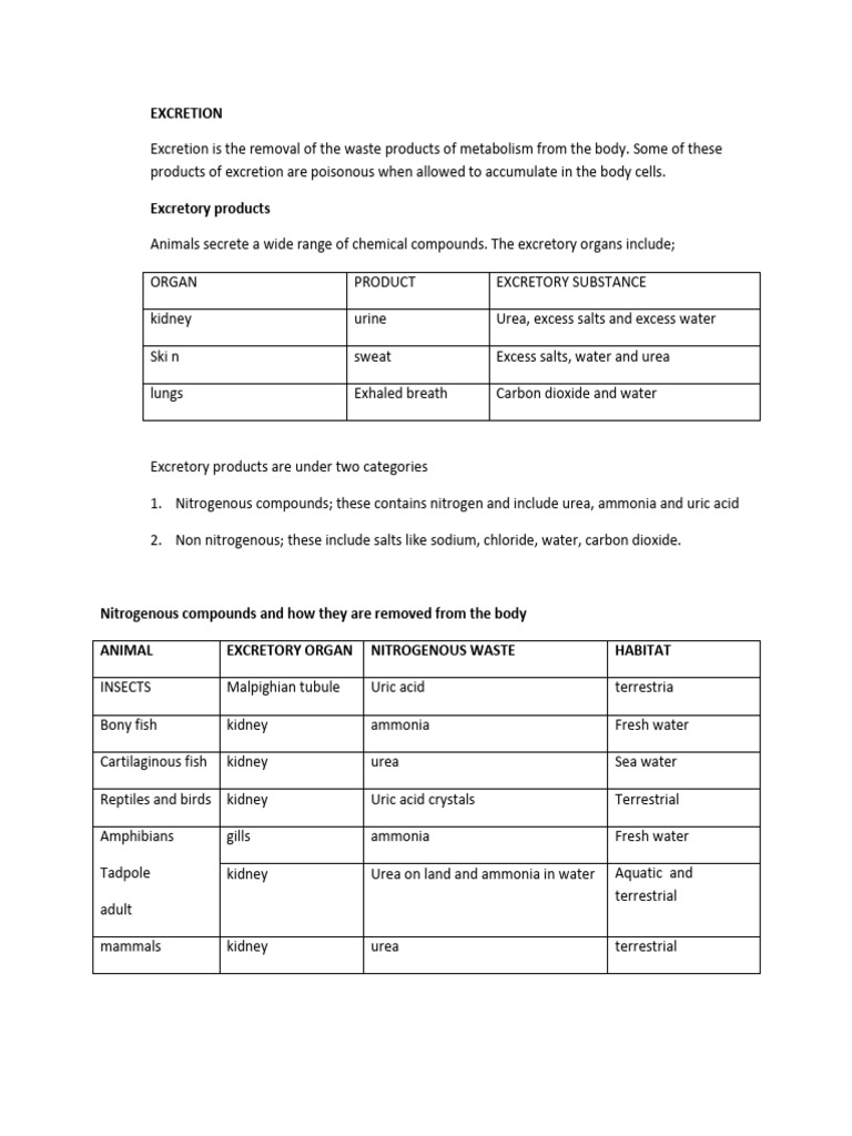 BIOLOGY Excretion | PDF