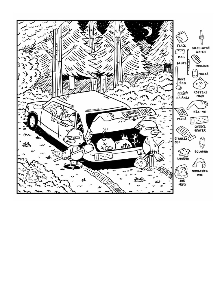 Hidden Pictures | PDF