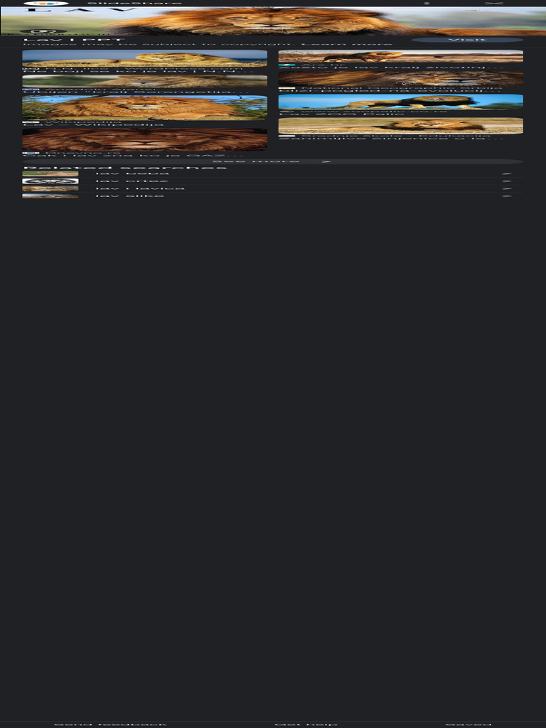 Lav - Google Search | PDF