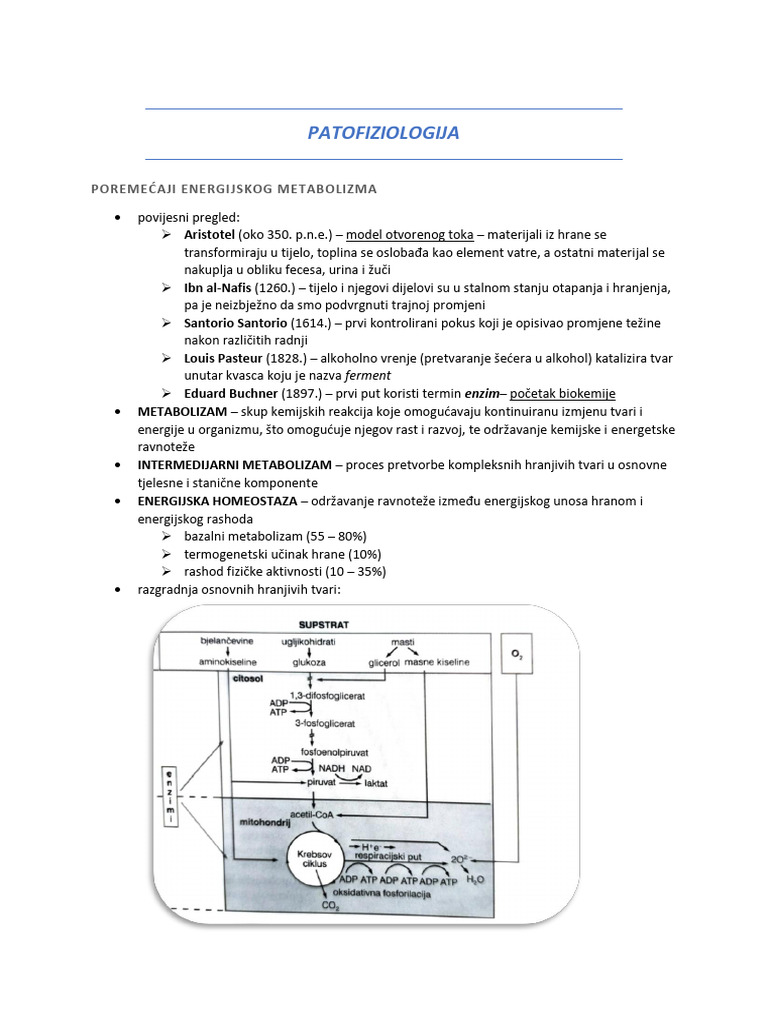 Patofiza - Skripta | PDF