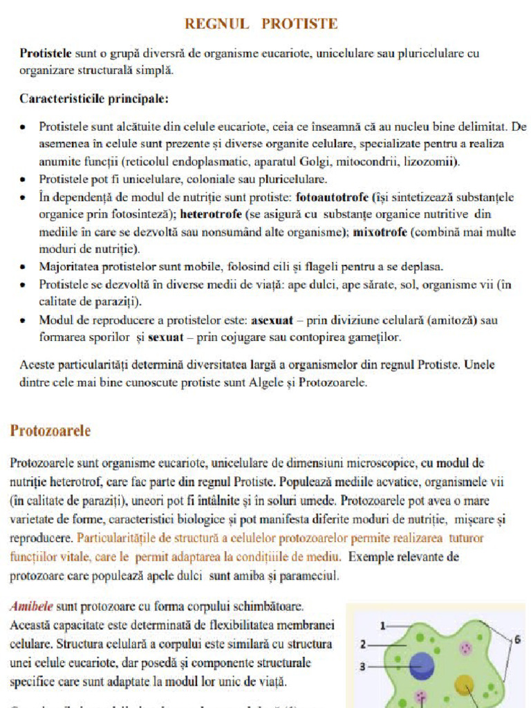 Regnul Protiste | PDF