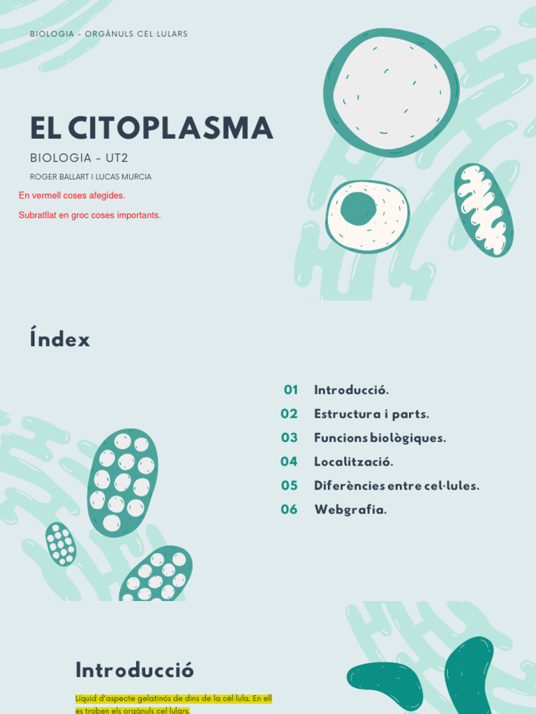 Citoplasma | PDF