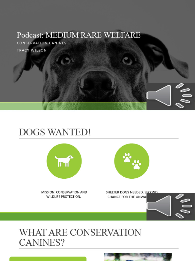 Conservation Canine Podcast | PDF | Conservation Movement | Dogs