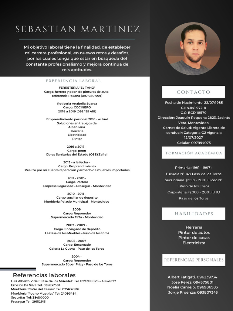 Sebas Currículum | PDF