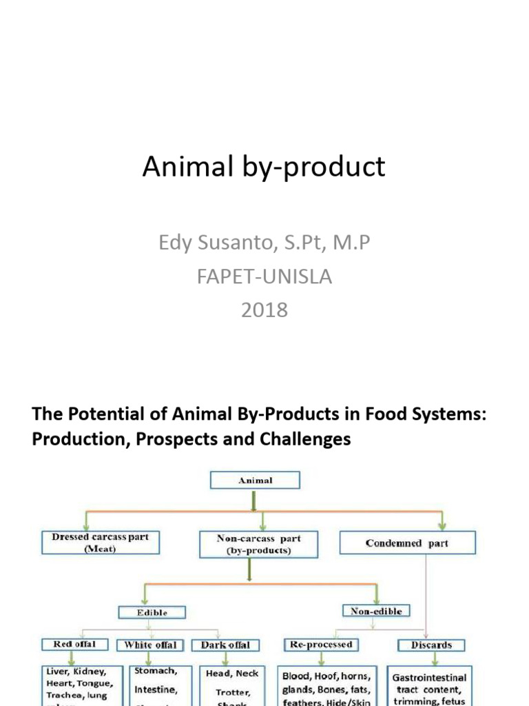 Animal By-Product | Download Free PDF | Animal Products