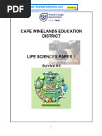 Grade 12 Life Sciences ATP 2025 | PDF | Dominance (Genetics) | Dna