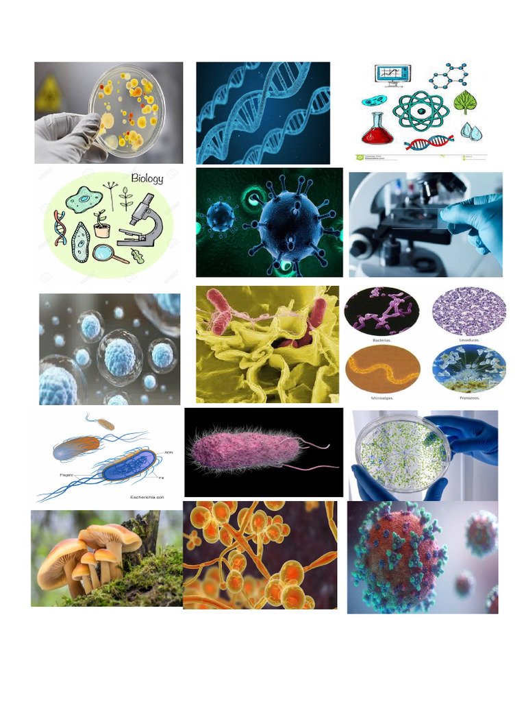 Imágenes Biología | PDF