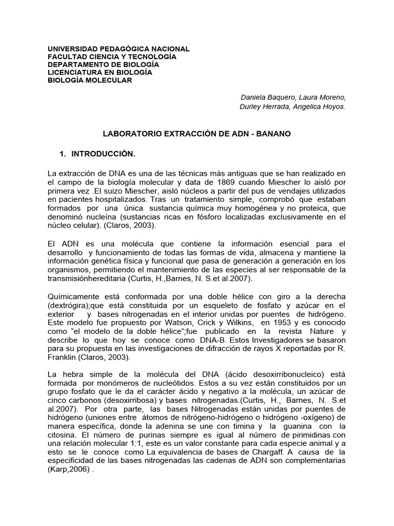 Extracción de ADN de Banano: Guía Práctica | PDF | Adn | Nucleótidos