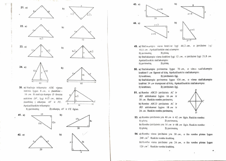 8 Kl. Pitagoro Teorema. 21 - 54 Pratimai | PDF