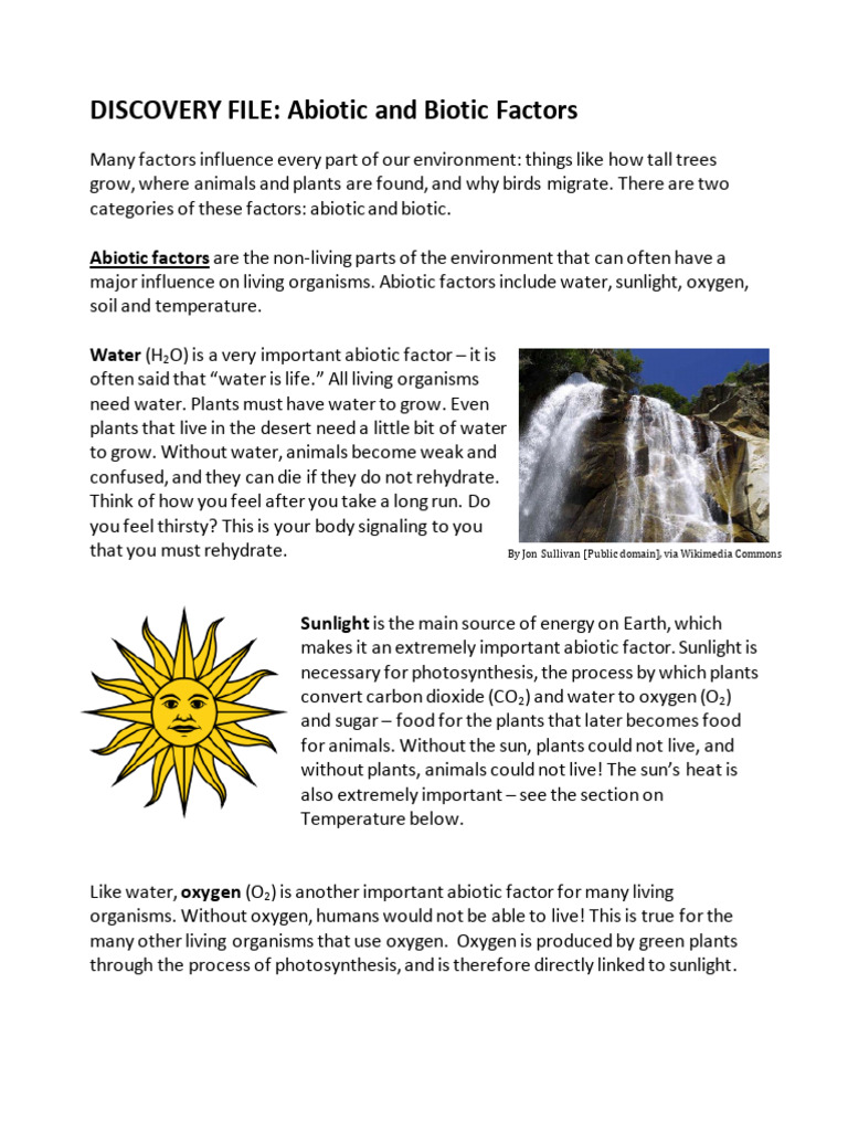 Abiotic and Biotic Factors DF | PDF | Ecosystem | Plants