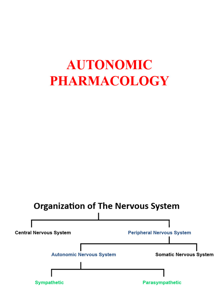 Review of Autonomic Pharmacology | PDF | Acetylcholine | Autonomic Nervous System
