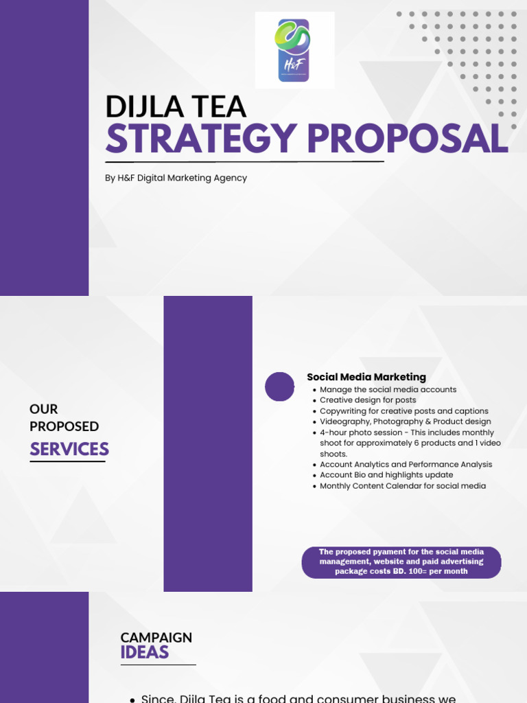 Dijla Tea Social Media Strategy Proposal | PDF | Social Media Marketing ...
