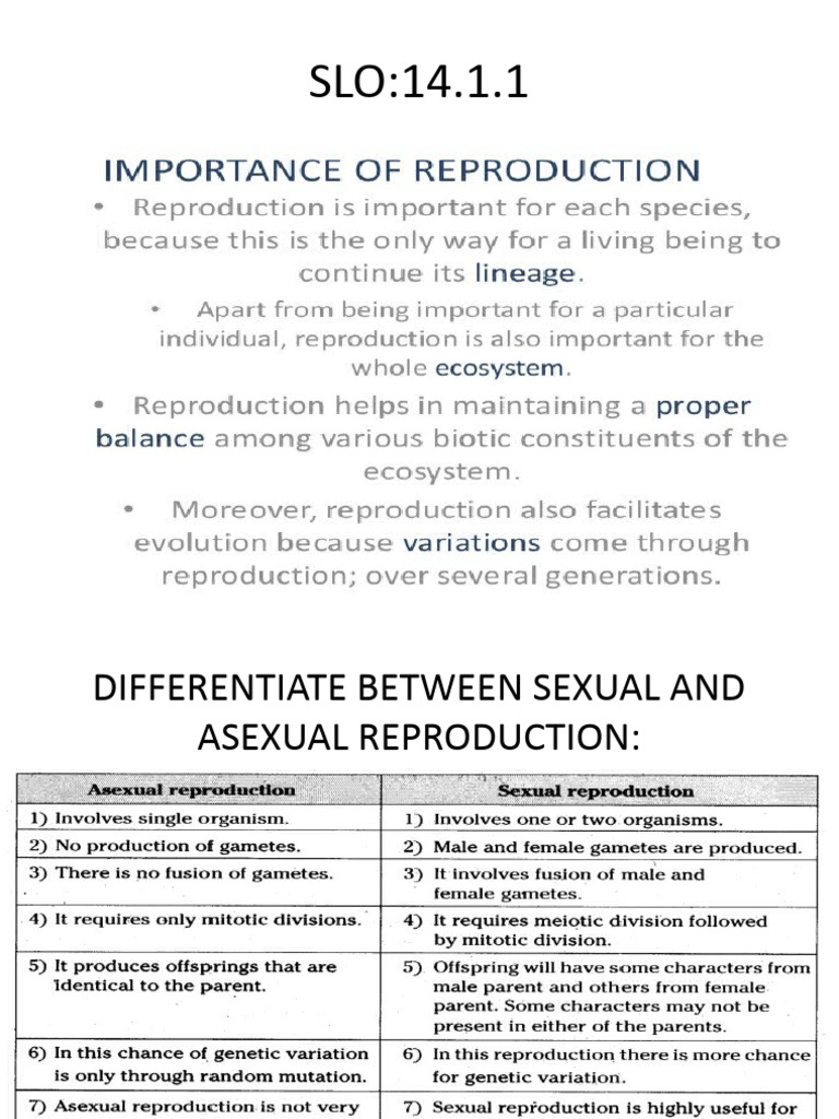 Ppt.x.reproduction 10 23 | PDF | Hiv/Aids | Seed