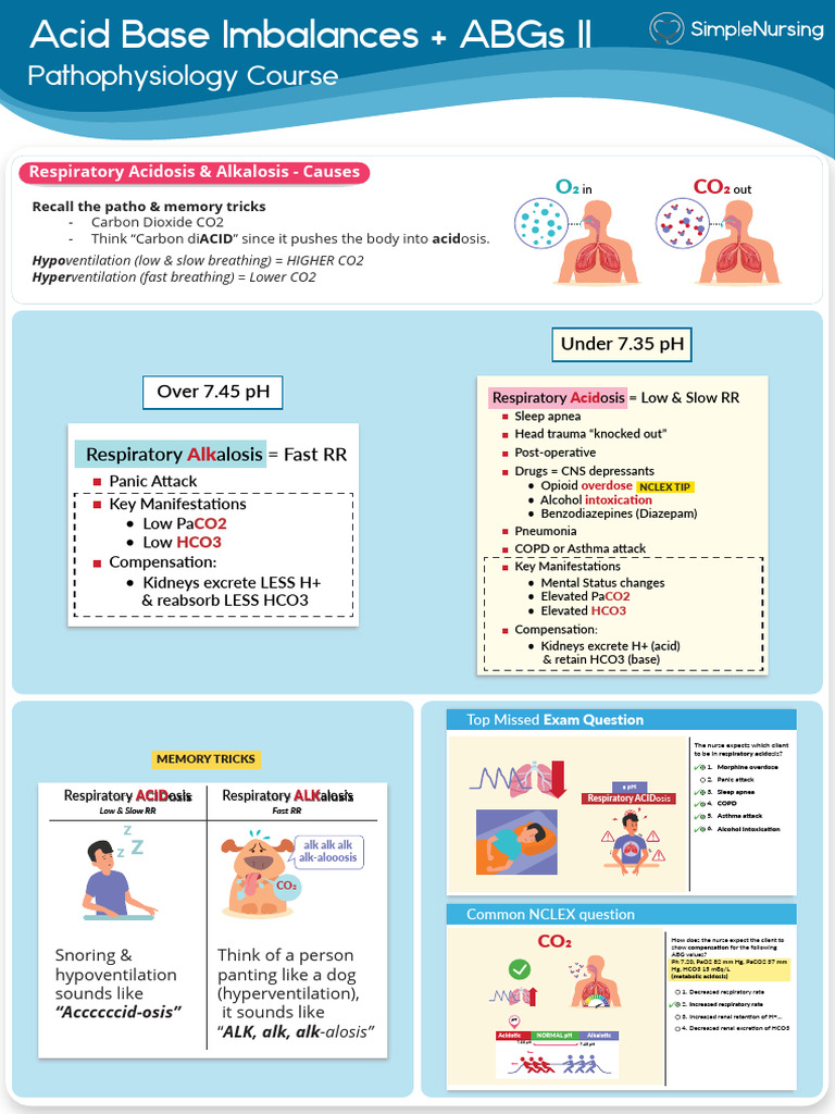 3.1 Acid Base Imbalances ABGs II - v2 | PDF | Medical Specialties ...