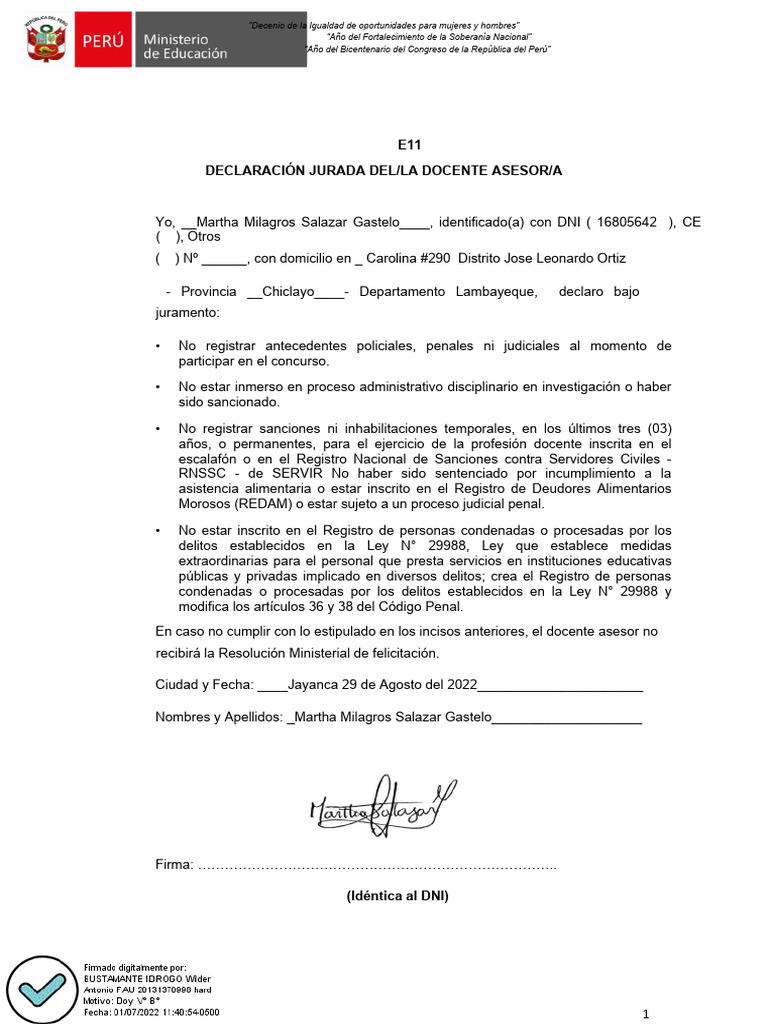 5 Anexo E11 Declara Jurad Doc Asesor | PDF | Gobierno | Justicia