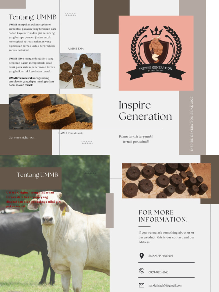 Leaflet Inspire Generation Ummb | PDF