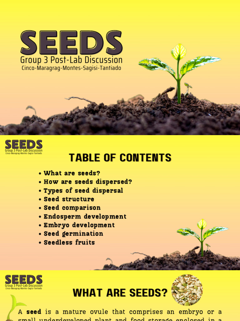 Botany (Seeds) | PDF | Seed | Anatomy