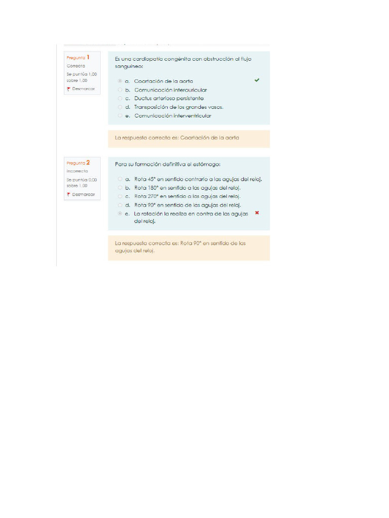 Embrio - Examen Final | PDF