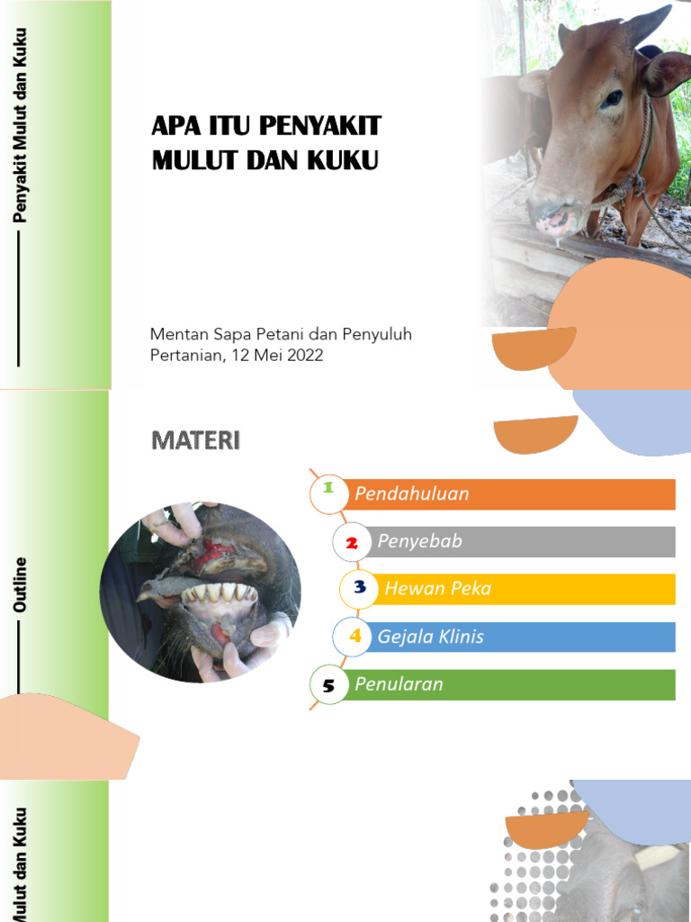 Apa Itu PMK 1 | PDF | Kesehatan Holistik | Sains & Matematika