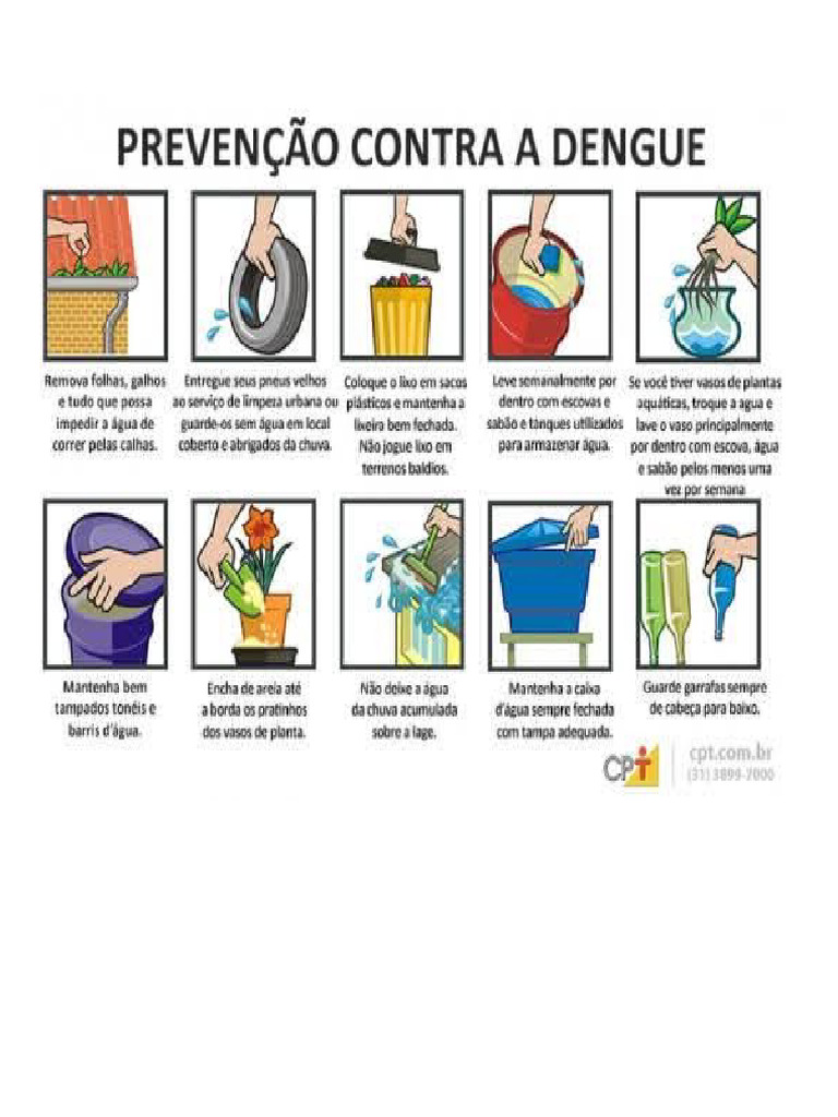 Informativo Dengue | PDF