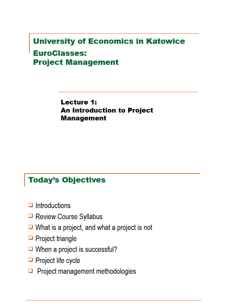 PM Lecture 01 | PDF | Project Management | Economics
