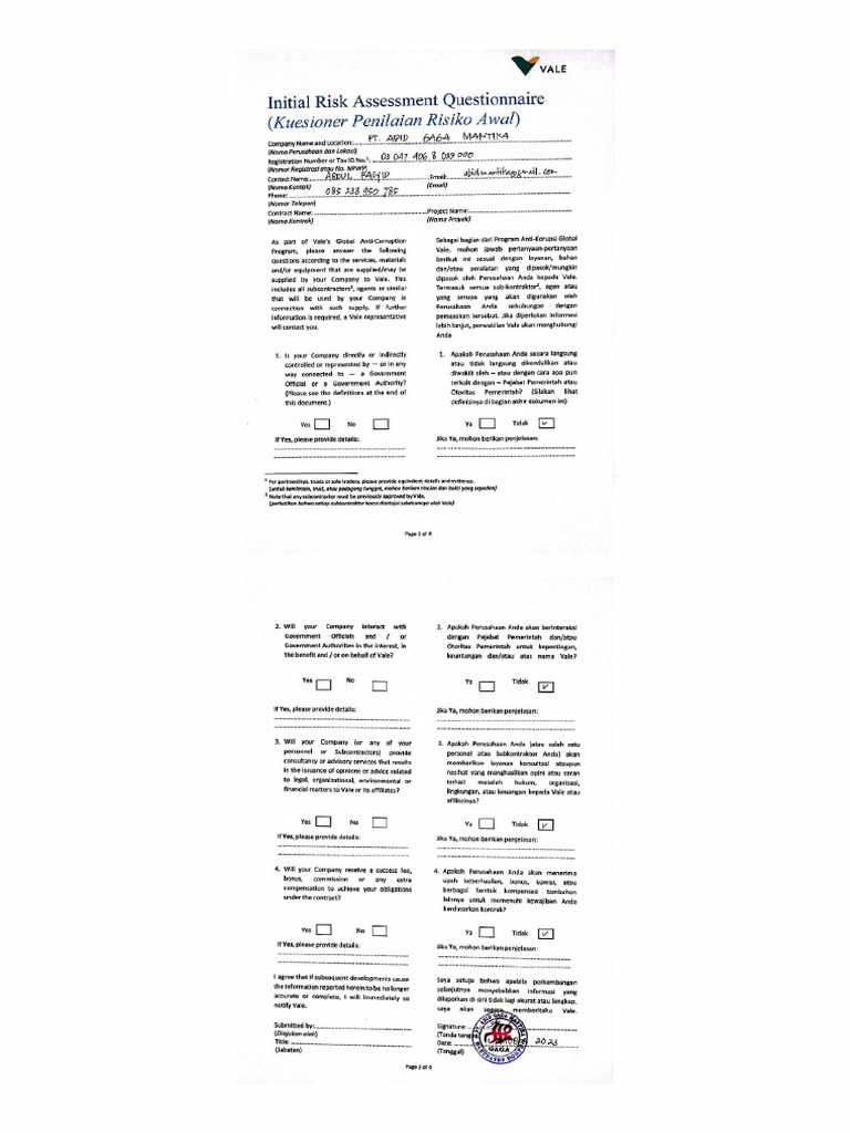Initial Risk Assessment Ques... | PDF