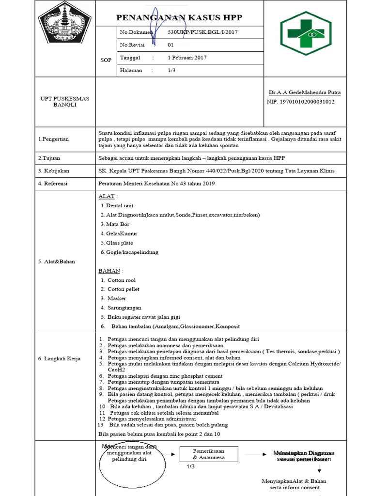 Penanganan Kasus HPP | PDF