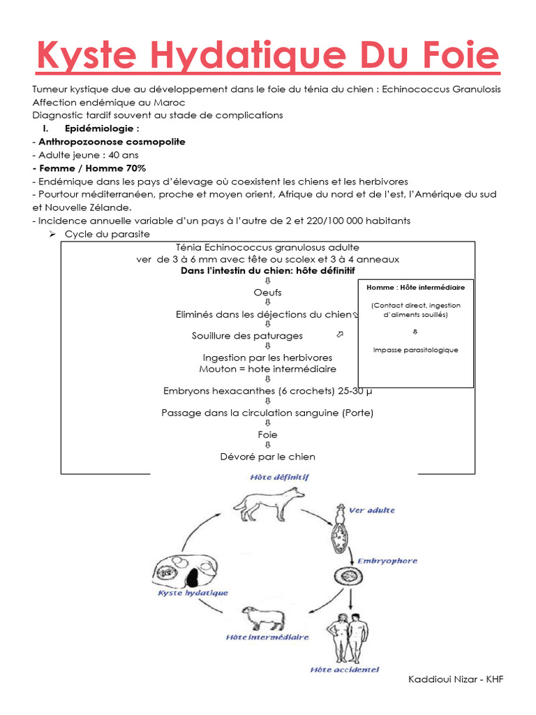 Kyste Hydatique du Foie : Diagnostic et Complications | PDF | Foie ...