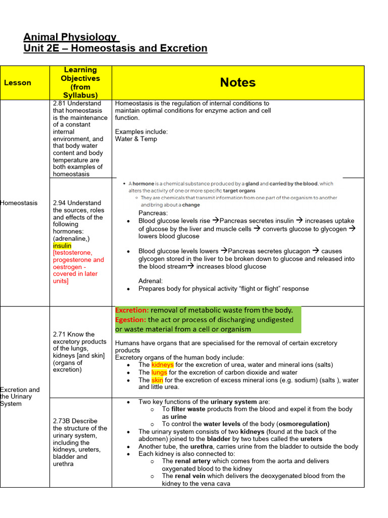 Edexcel IGCSE Unit 2E Homeostasis and Excretion - Self-Assessment Sheet ...