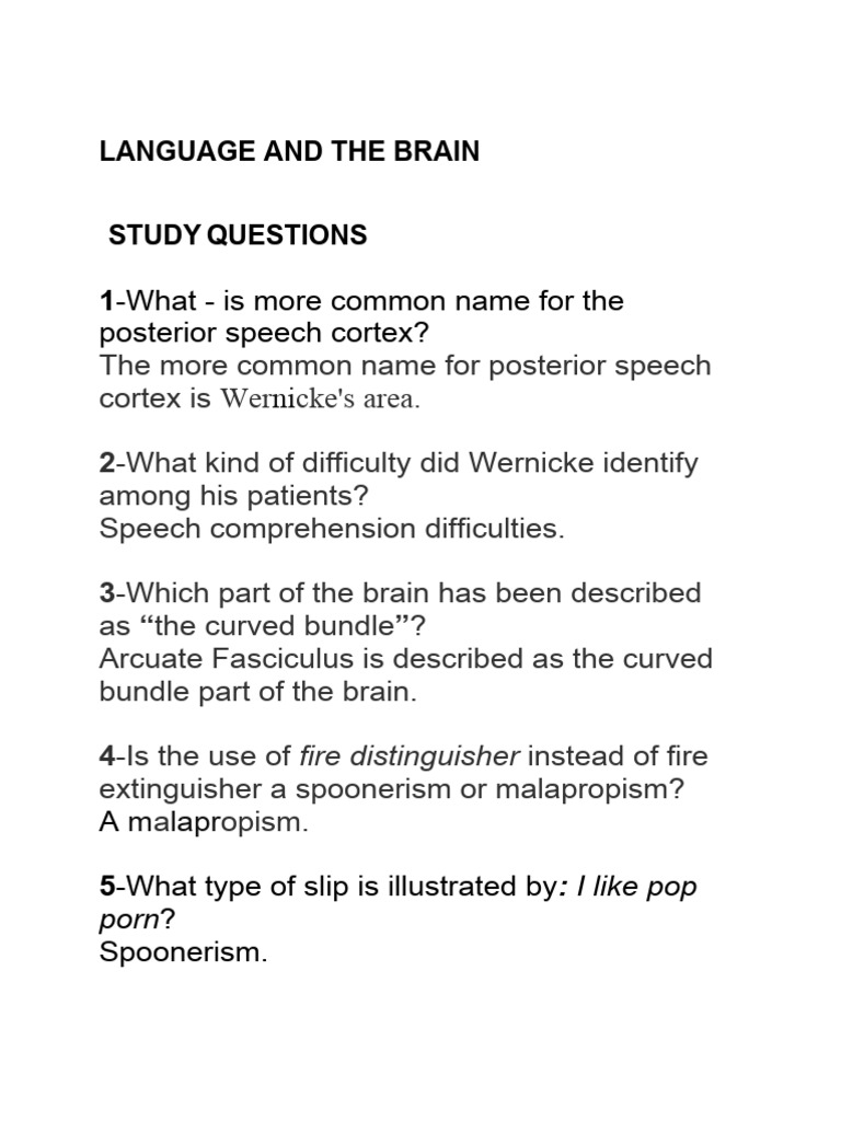 Language and Brain Study Insights | PDF
