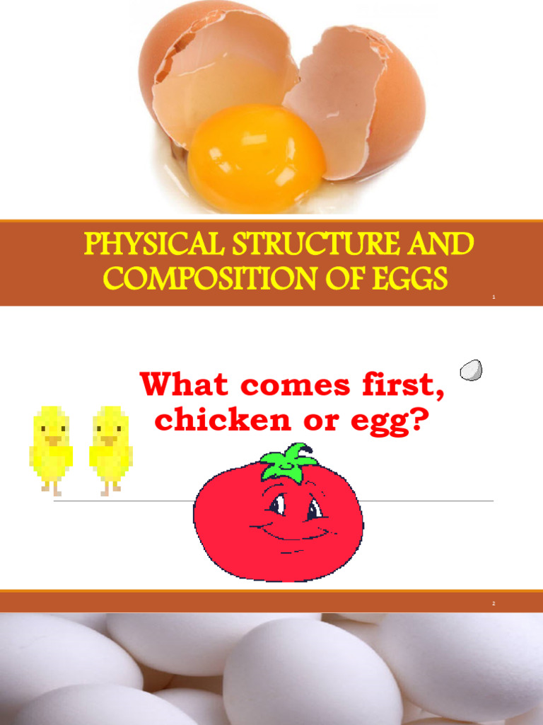 LO1.Perform Mise'en Place (2physical Structure and Composition of Egg ...