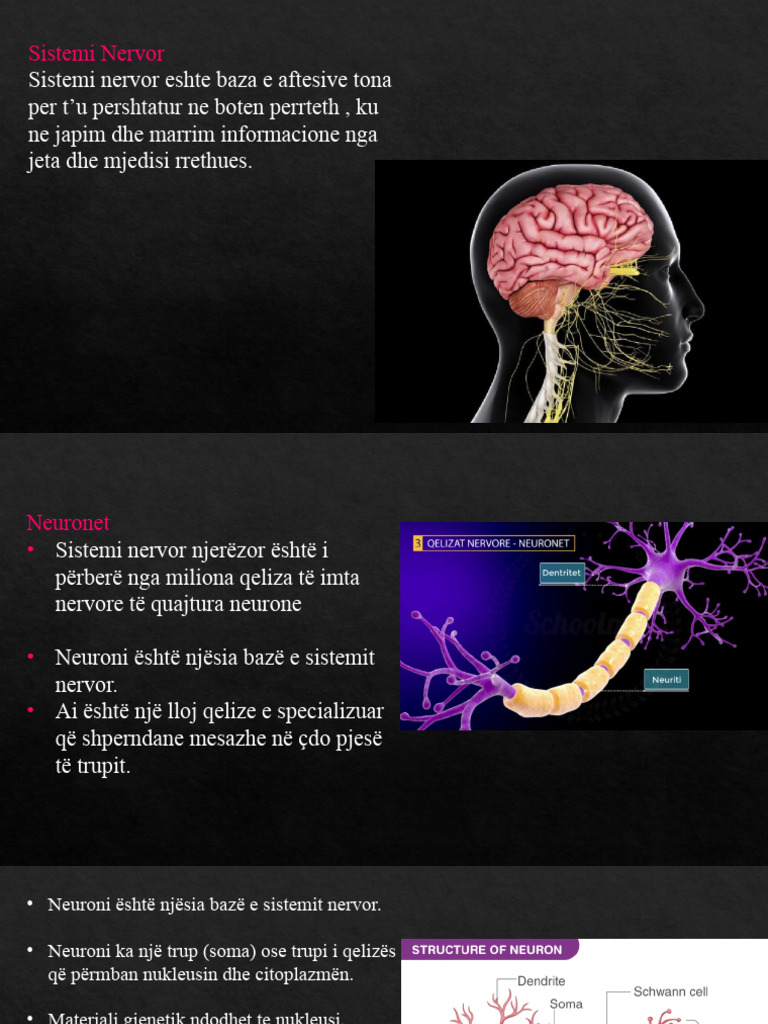 Emocionet Fizio | PDF