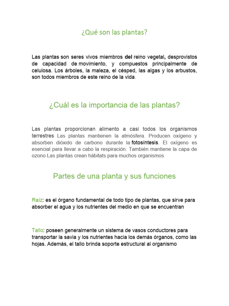 Importancia y Funciones de las Plantas | PDF | Plantas | Fotosíntesis