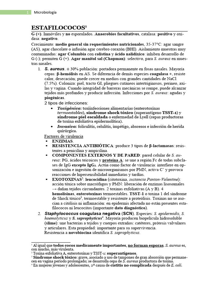 ESTAFILOCOCOS | PDF | Staphylococcus Aureus | Estreptococo