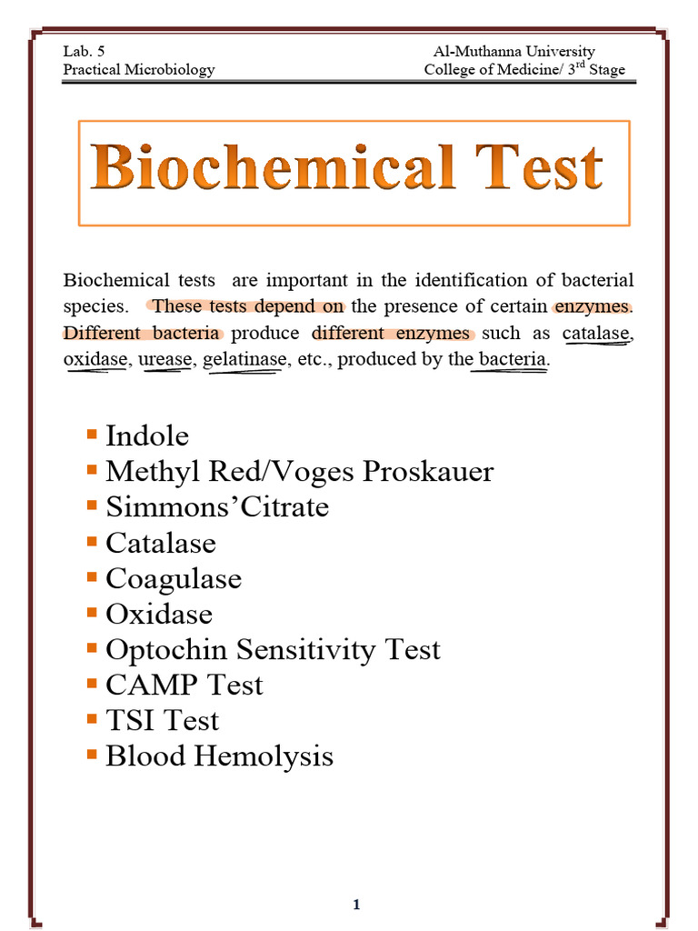 Biochemical Tests for Bacterial Identification | PDF | Staphylococcus ...