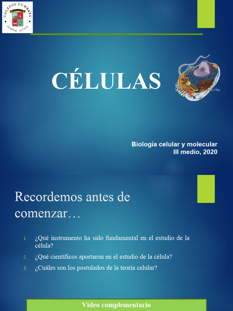 Células 1 | PDF | Biología Celular) | Citoplasma