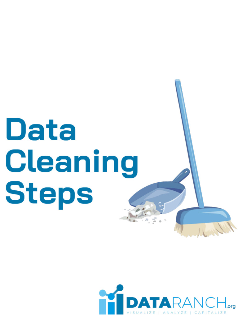 Data Cleansing Steps | PDF
