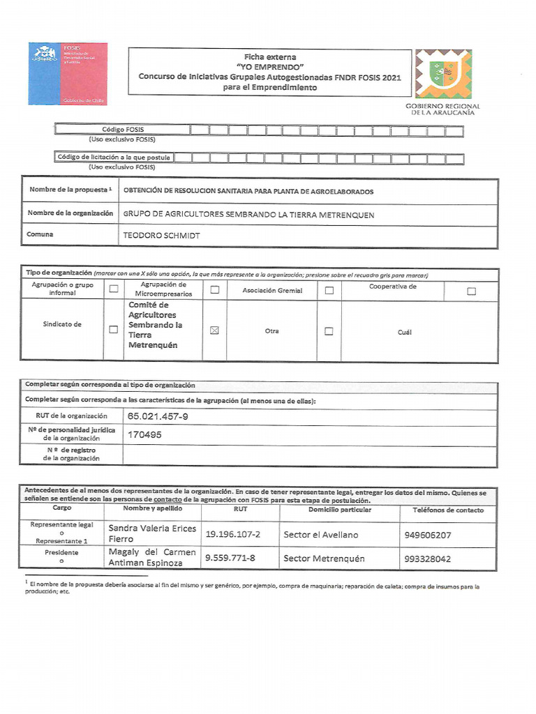 Formato Presentacion | PDF