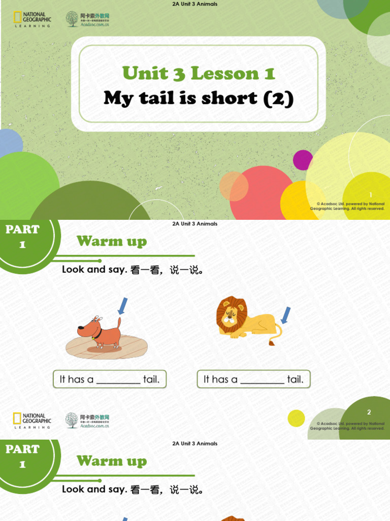 Unit 3 Lesson 1 My Tail Is Short 2 | PDF