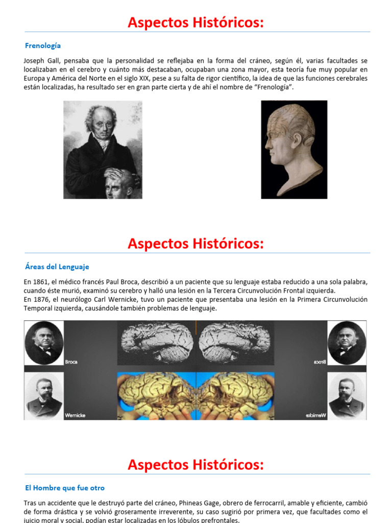 Clase 1 B Neurops Edward | PDF | Cerebro | Neurociencia