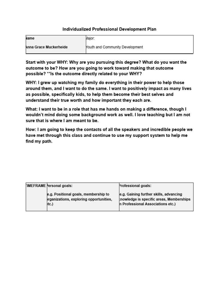 Individualized Professional Development Plan | PDF | Special Education ...