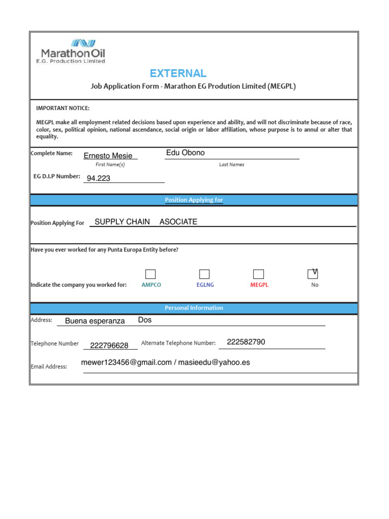 MEGPL Job Application Form | PDF | Knowledge