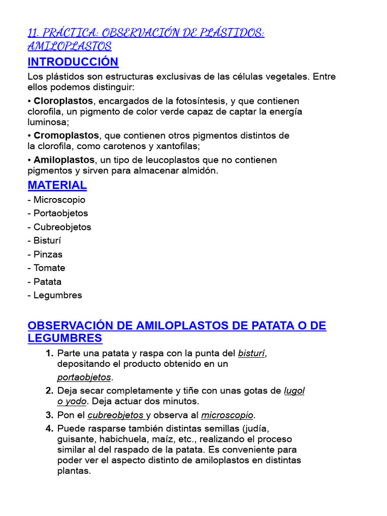 Práctica - Observación de Amiloplastos | PDF | Plantas | Fotosíntesis