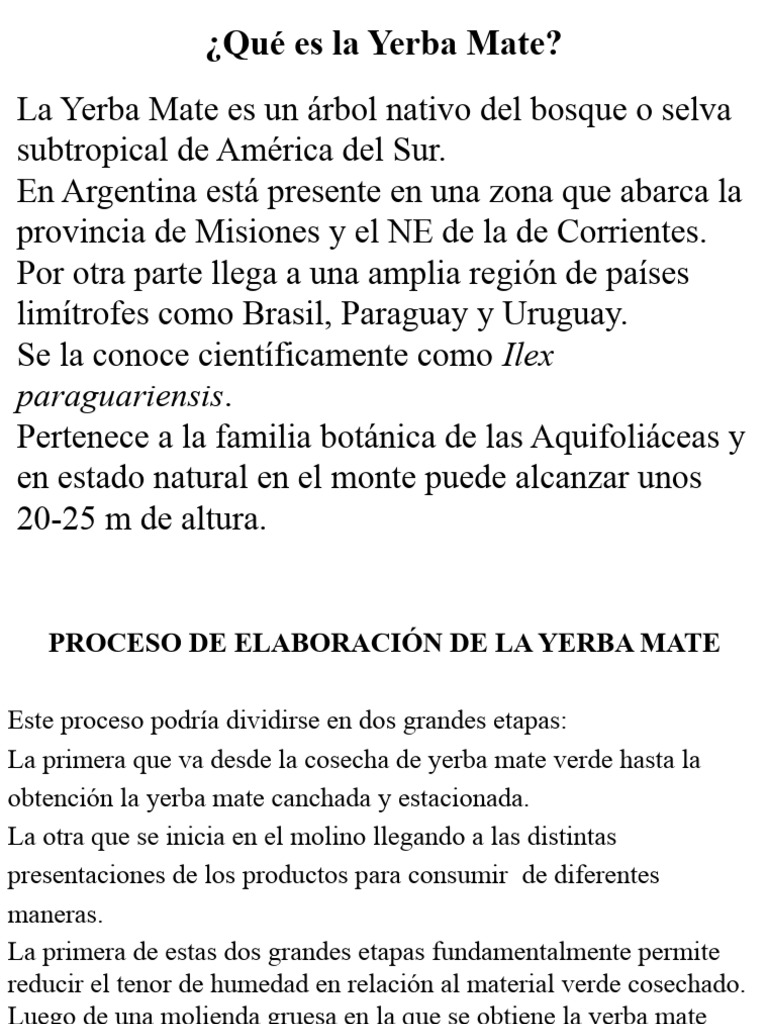 7 Yerba Mate | PDF | Comida y bebida