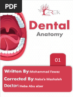 Triadan Tooth Numbering System | PDF