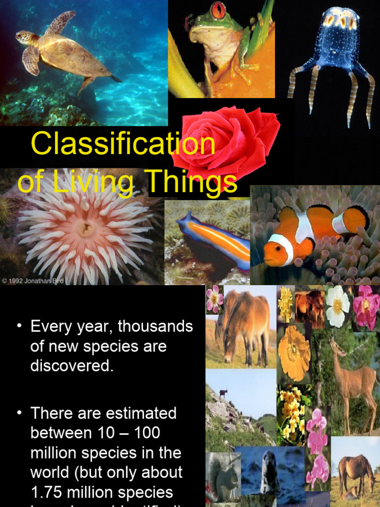 1st Bgy 1 Notes Classification of Living Things | PDF | Taxonomy ...