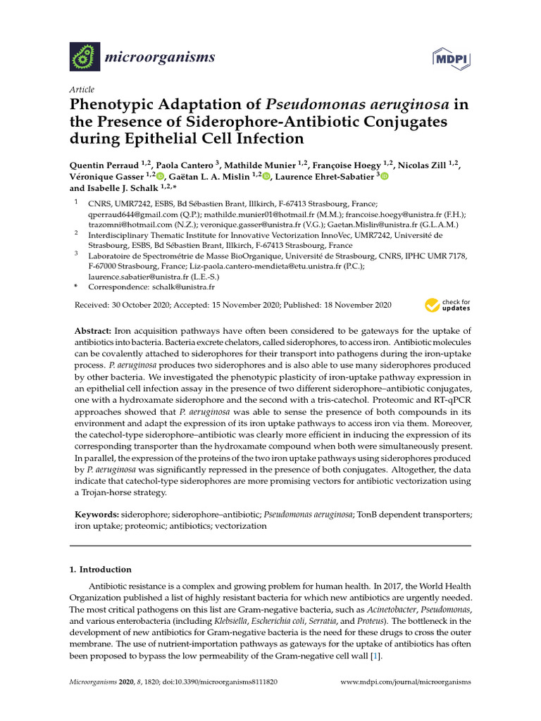 Phenotypic Adaptation of Pseudomonas Aeruginosa... | PDF | Bacteria ...