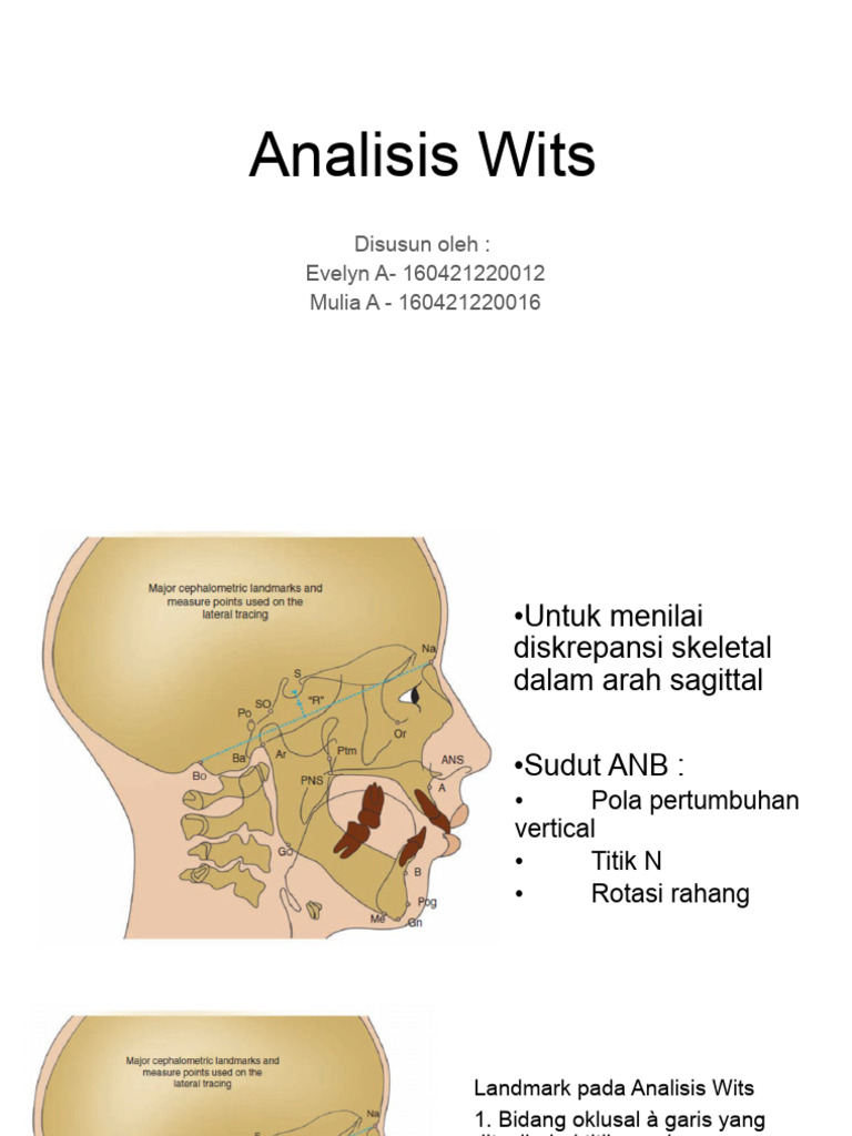 Wits Appraisal | PDF