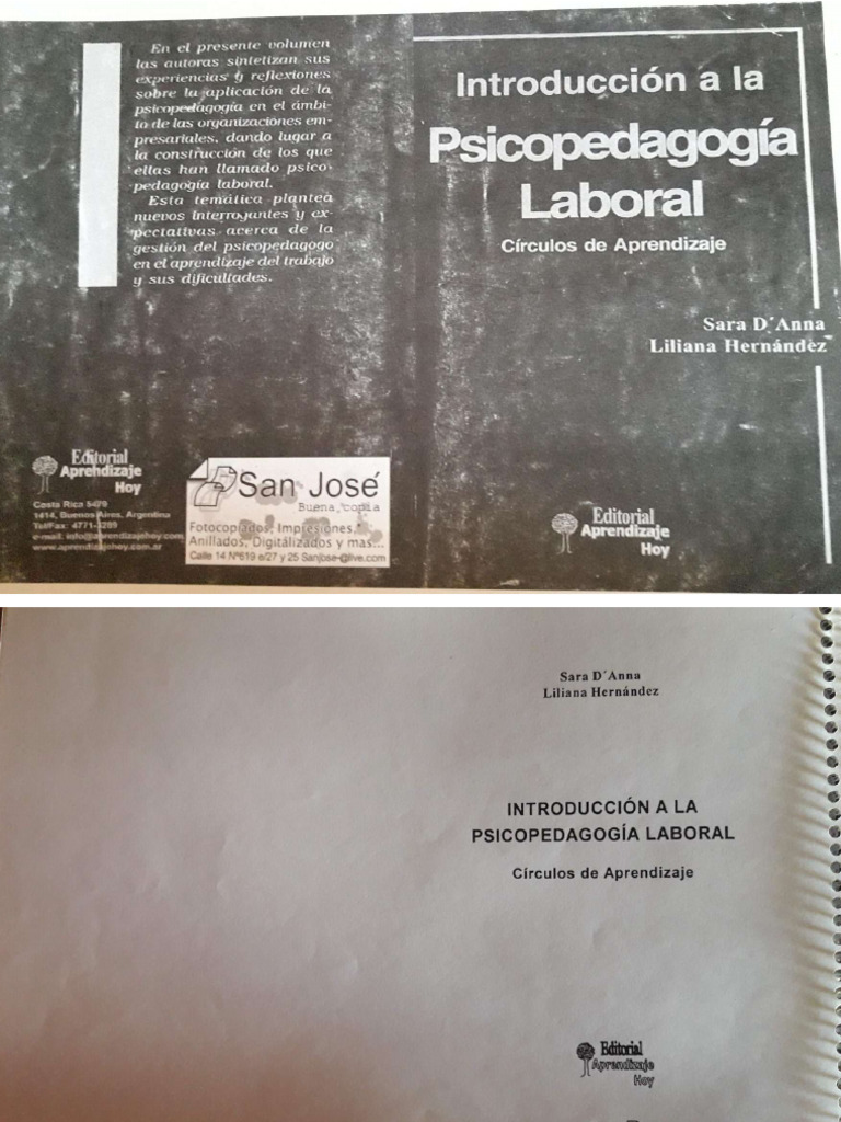 2 - Libro PSICOPEDAGOGÍA LABORAL - Sara D Anna - Liliana Hernández. | PDF