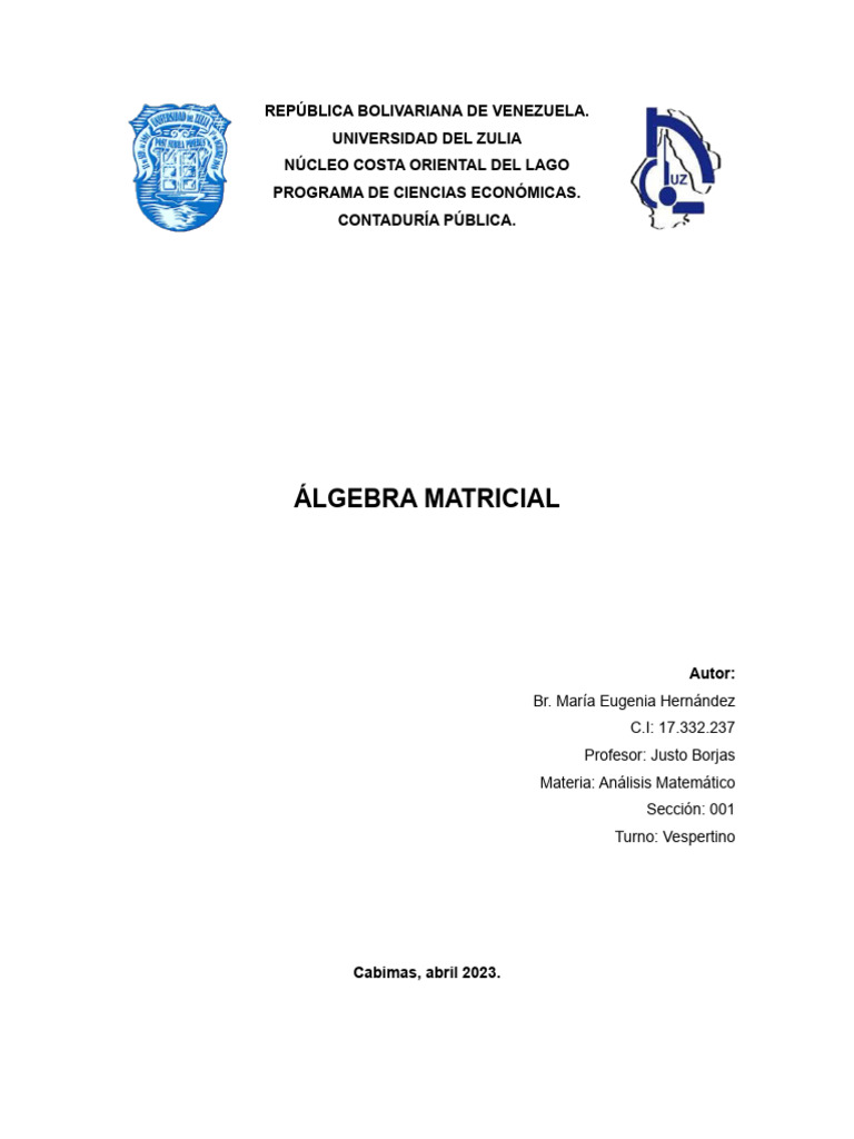 Definición y Tipos de Matrices | PDF | Matriz (Matemáticas) | Determinante